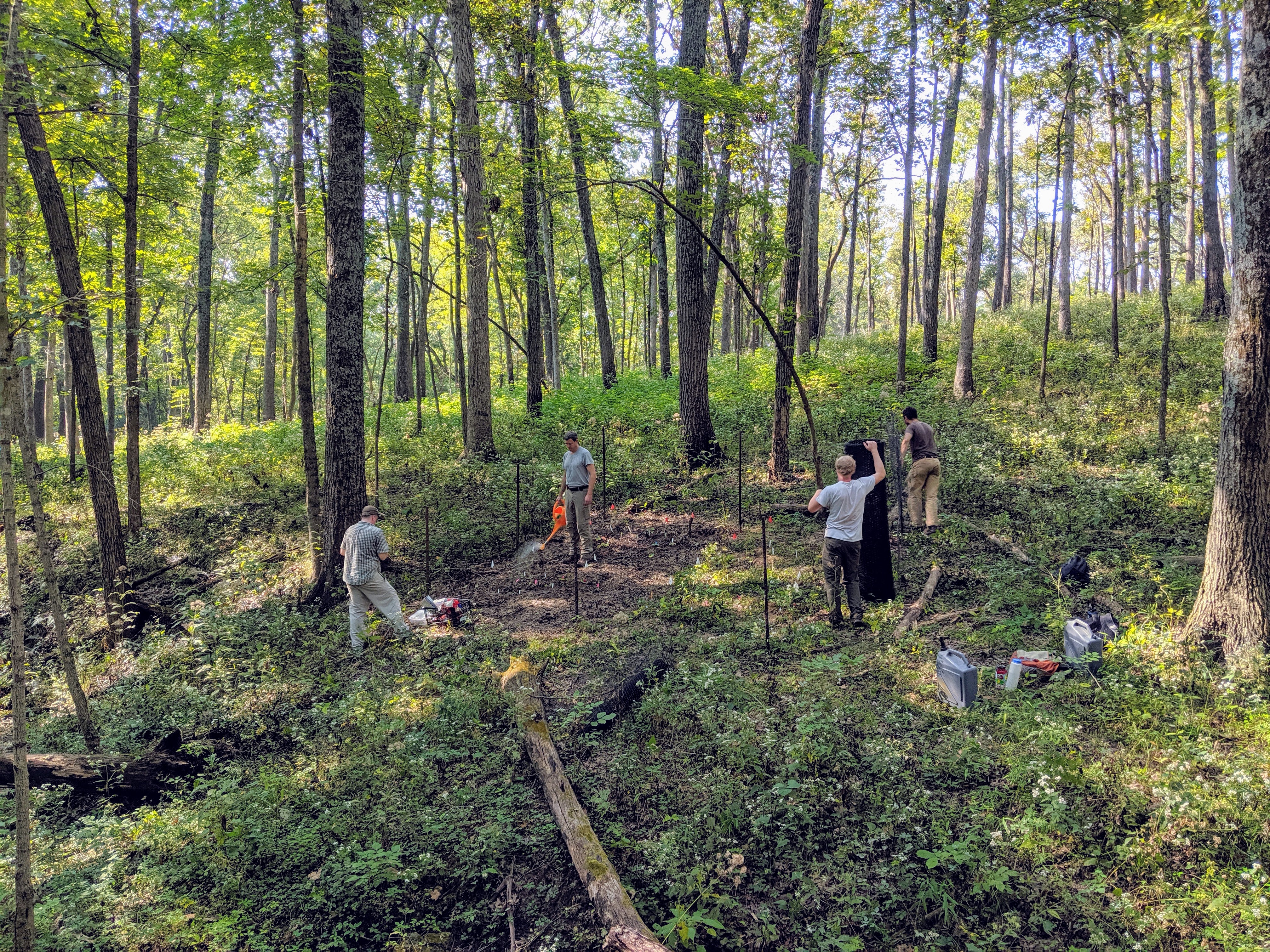 Our Projects – Restoration Ecology Lab